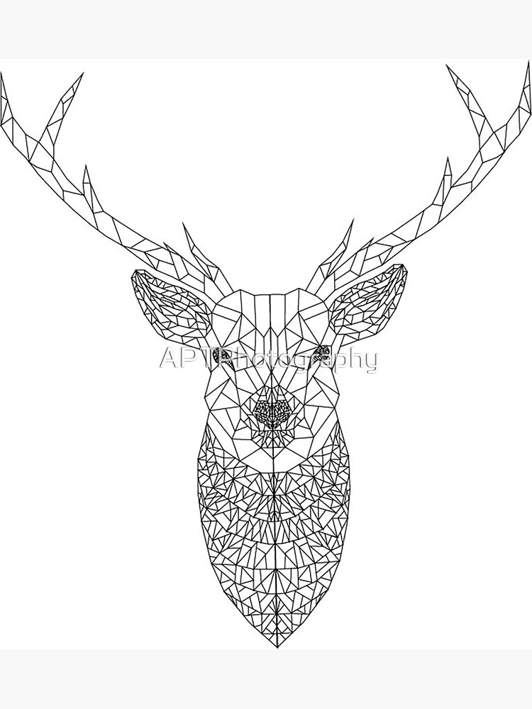 "Geometric Stag" Art Print for Sale by APTPhotography | Redbubble