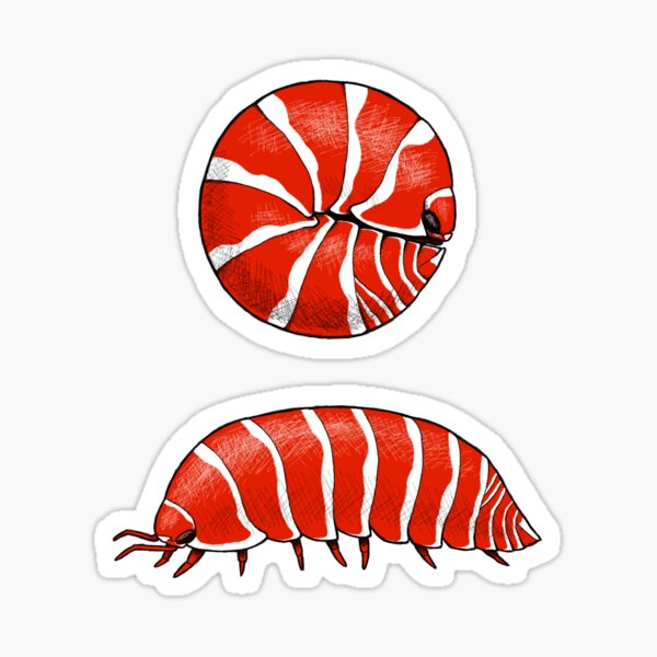 "Peppermint Pods" Sticker for Sale by soyrwoo | Redbubble