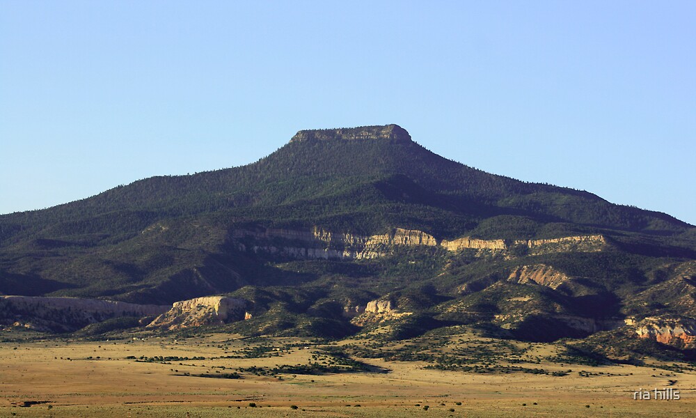 "Cerro Pedernal" by ria hills | Redbubble