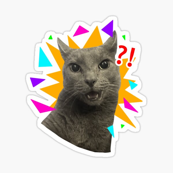 "Do you have any questions for this cool cat?" Sticker for Sale by ...