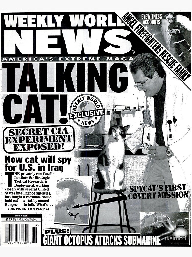 "Talking cat cia experiment Angel firefighters rescue spy cat Iraq ...