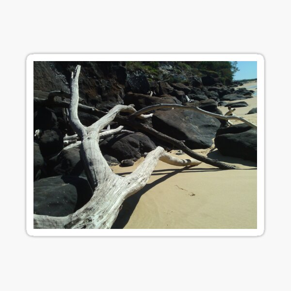 "Beach Photo" Sticker for Sale by PNINU | Redbubble