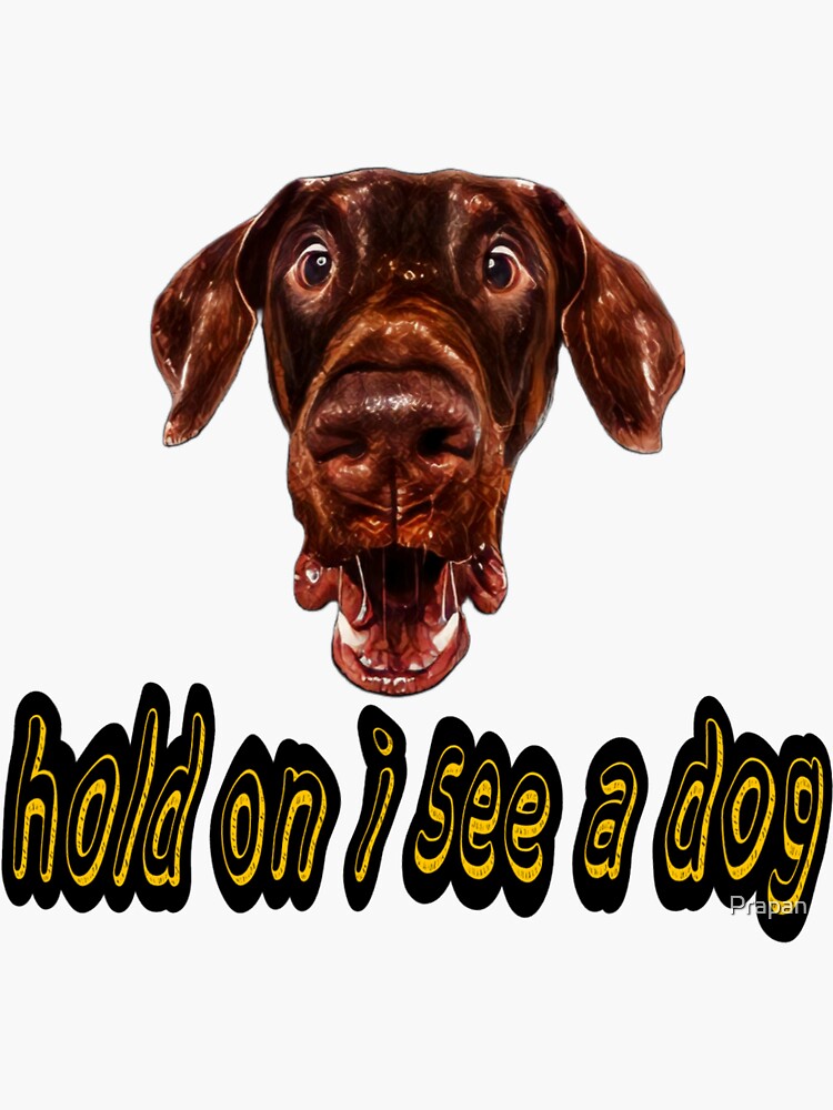 "My dog's face when he's shocked like he's funny" Sticker for Sale by ...