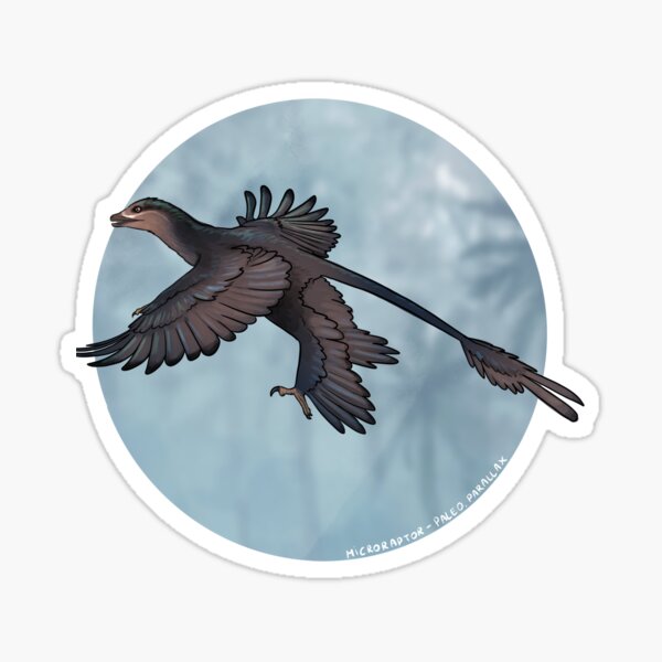 "Microraptor brown" Sticker for Sale by Paleo-parallax | Redbubble