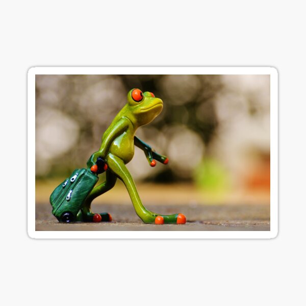 "Froggy had Enough - Funny Frog Love Meme" Sticker for Sale by Homely ...