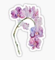 Orchid Stickers | Redbubble