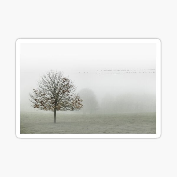 "Equilibrium" Sticker for Sale by ernest123 | Redbubble