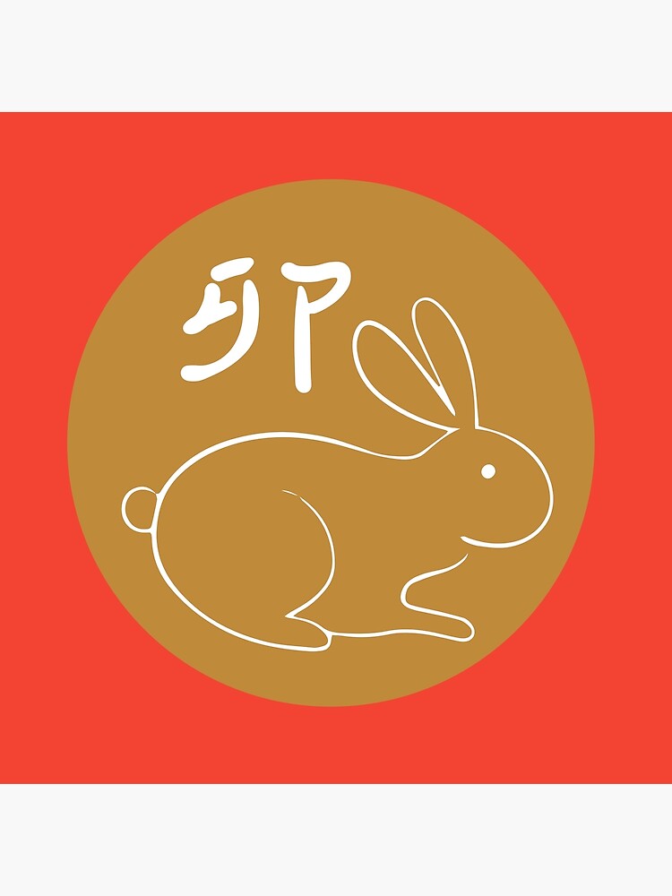 "Year of the Rabbit 2023, Chinese Zodiac Rabbit Zodiac , Chinese New ...