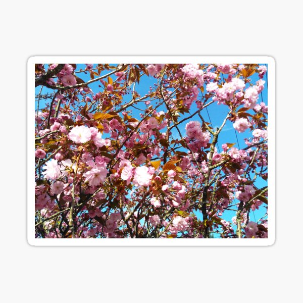 "Flutter Blossoms" Sticker for Sale by PromiseMeStars | Redbubble