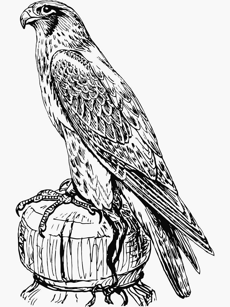 "Falcon" Sticker for Sale by Sarah-Leonard | Redbubble