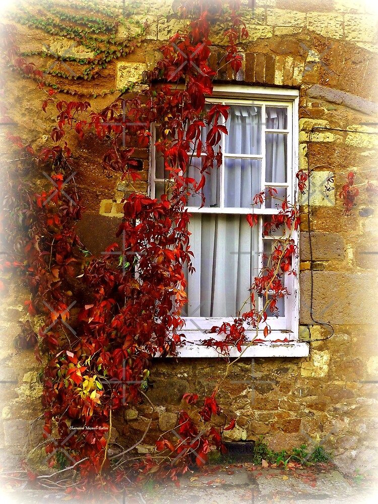 "Country Window" Photographic Print for Sale by Sita | Redbubble