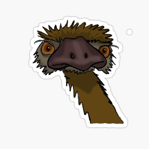 "Angry Emu" Sticker for Sale by TimmyGumnut | Redbubble