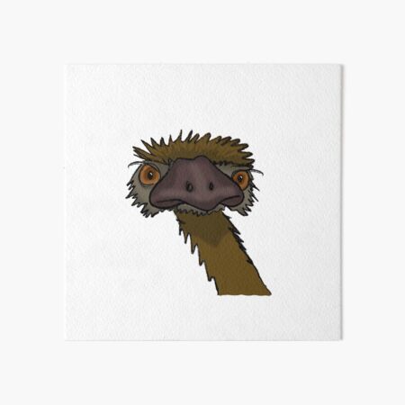 "Angry Emu" Art Board Print for Sale by TimmyGumnut | Redbubble