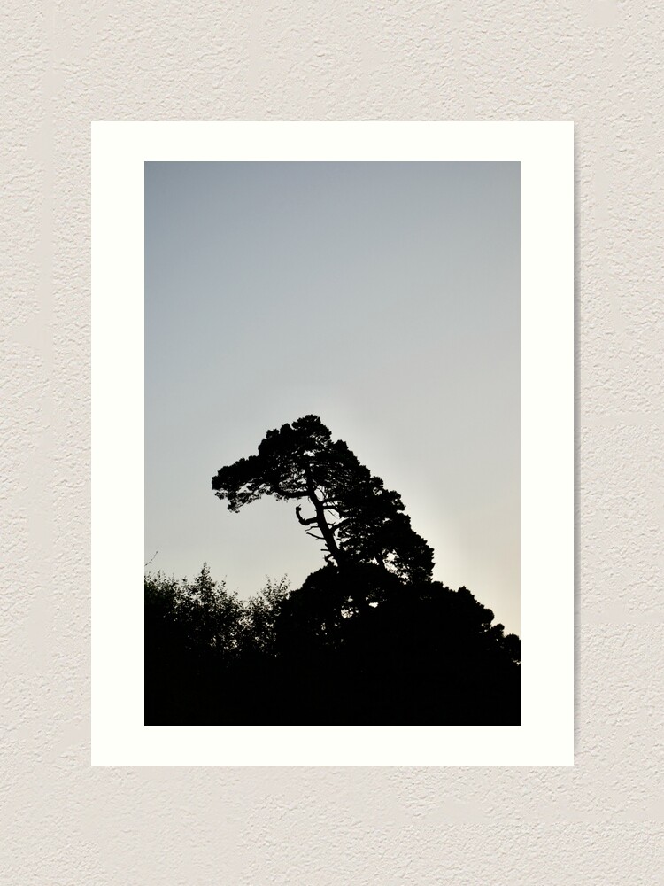 "Big Silhouette Pine Tree Sticking Up Its Middle Finger" Art Print for ...