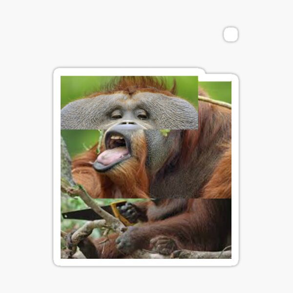 "ranga" Sticker by saltsavage | Redbubble