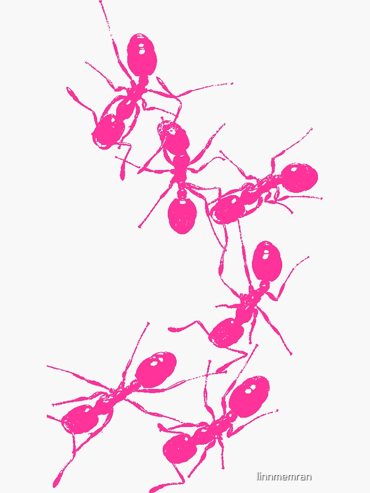 "pink giant ants" Sticker for Sale by linnmemran | Redbubble