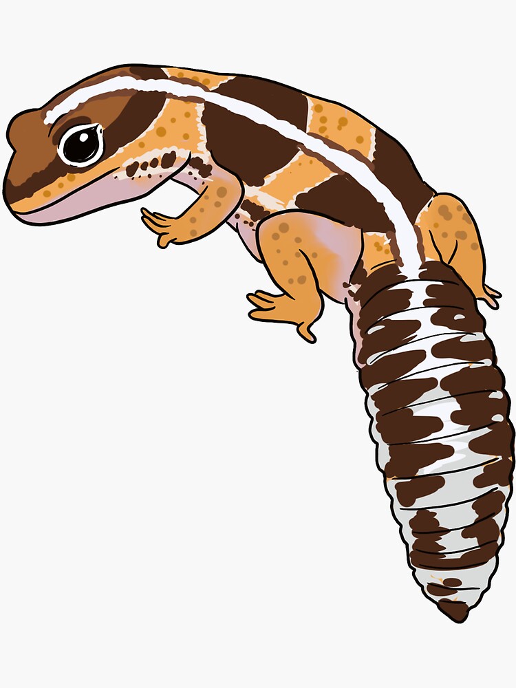 "Fat Tail Gecko Morph Normal | Gecko Cute | Leopard gecko" Sticker for ...