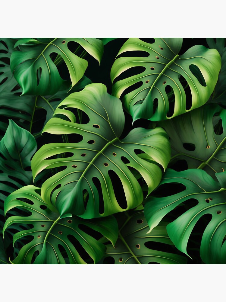 "Monstera Plant Art ll" Sticker for Sale by alohaOGB | Redbubble