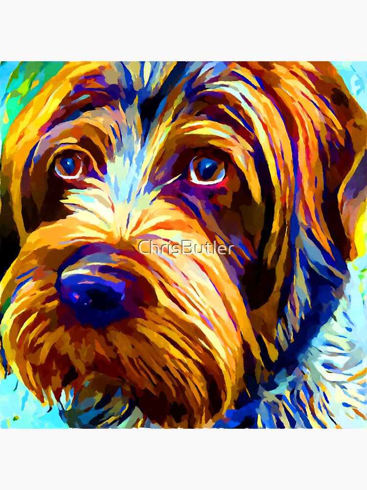 "Wirehaired Pointing Griffon 3" Sticker for Sale by ChrisButler | Redbubble