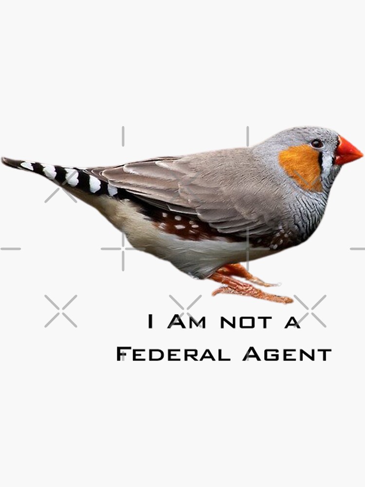 "Federal Agent Finch" Sticker for Sale by hanNsneep | Redbubble