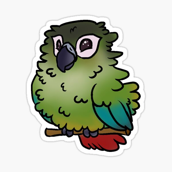 Green Cheek Conure Gifts & Merchandise | Redbubble