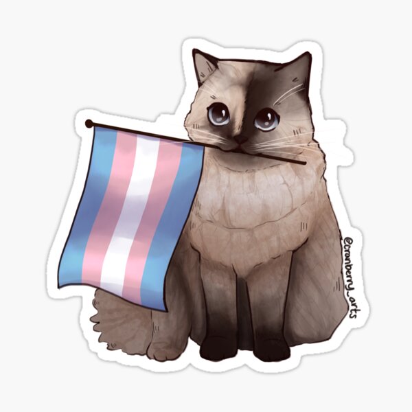 "Cat Holding Trans Flag" Sticker for Sale by MissCranberry | Redbubble