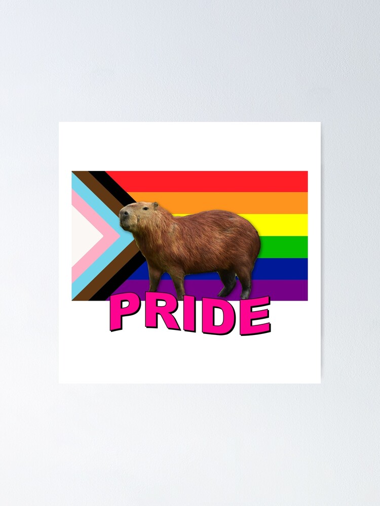 "Capybara Pride Flag" Poster for Sale by SSFootball | Redbubble