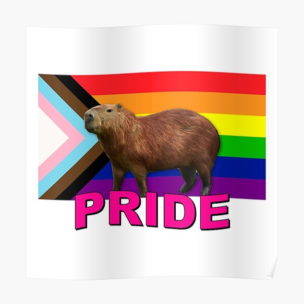 "Capybara Pride Flag" Poster for Sale by SSFootball | Redbubble