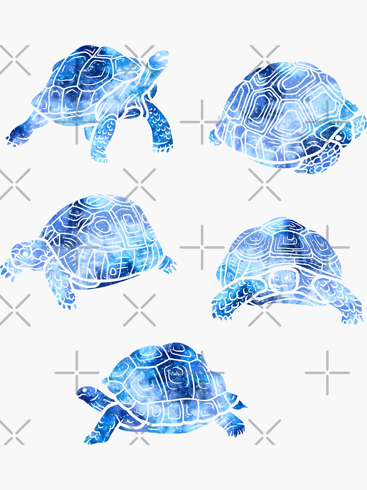 "Blue Tortoises " Sticker for Sale by TheAnimalZ00 | Redbubble