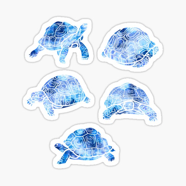 "Blue Tortoises " Sticker for Sale by TheAnimalZ00 | Redbubble
