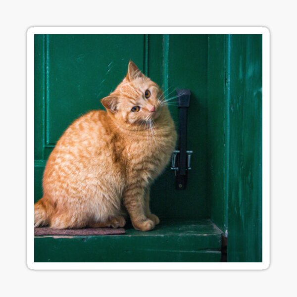 "Cat Front Door Pet " Sticker for Sale by artstudioideas | Redbubble