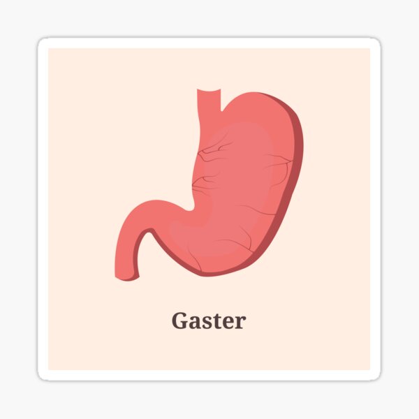 "flat illustration with human stomach and text Gaster" Sticker for Sale ...