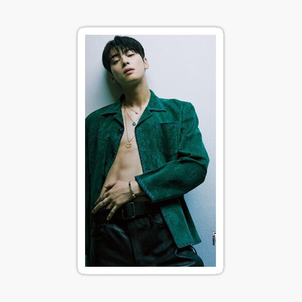 "Cha Eun-woo 2022" Sticker for Sale by K-Artists | Redbubble