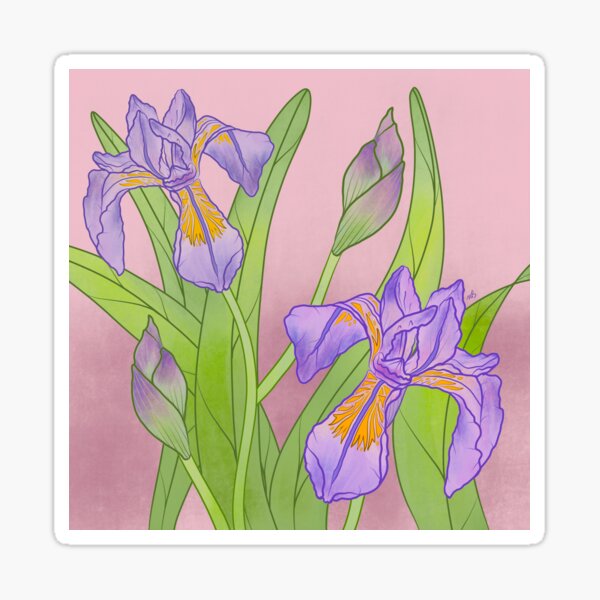 "Purple Iris Flowers" Sticker for Sale by natalieborghi | Redbubble