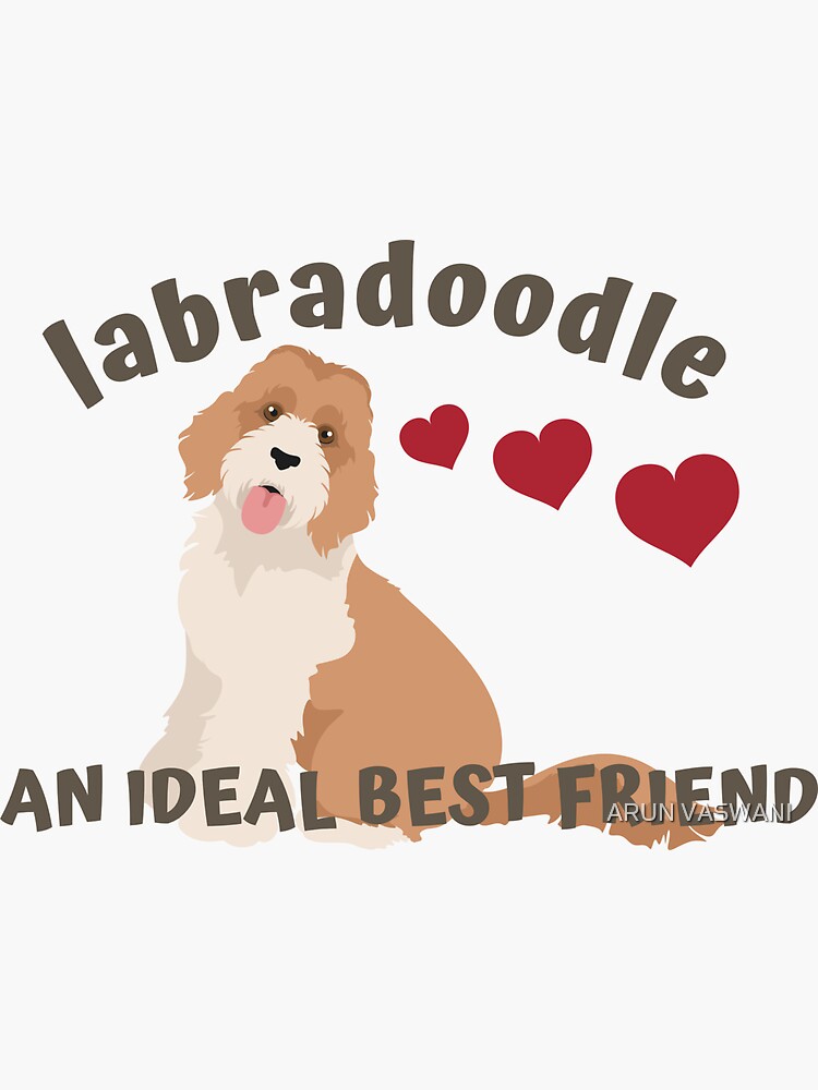 "labradoodle an ideal best friend" Sticker for Sale by SANDEEP24 ...