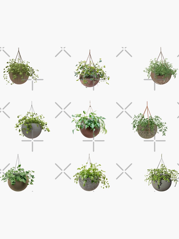 "Hanging Planters Potted Plant Artistic Design Collection" Sticker for ...