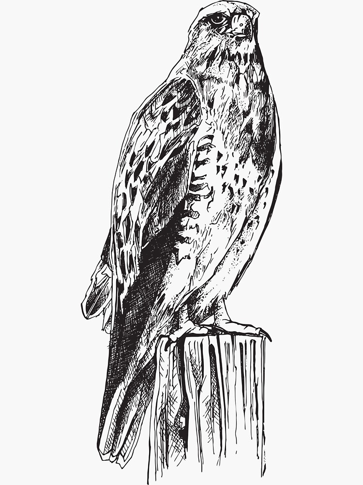 "Hawk" Sticker for Sale by Sarah-Leonard | Redbubble