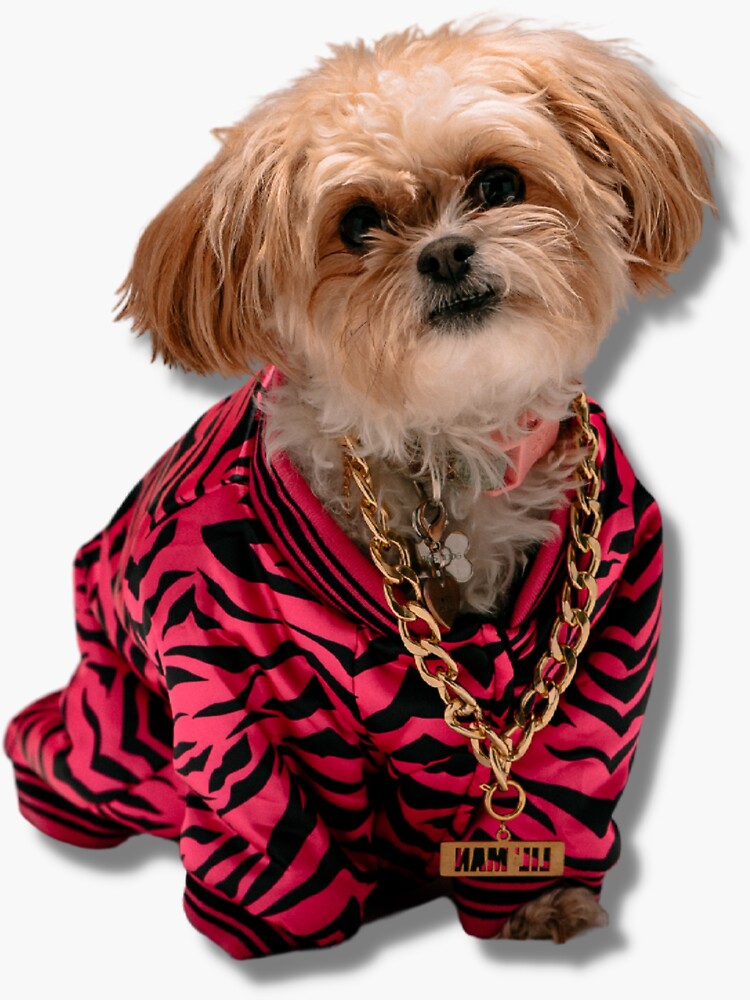 "Gangster Dog" Sticker for Sale by MerchGiants | Redbubble