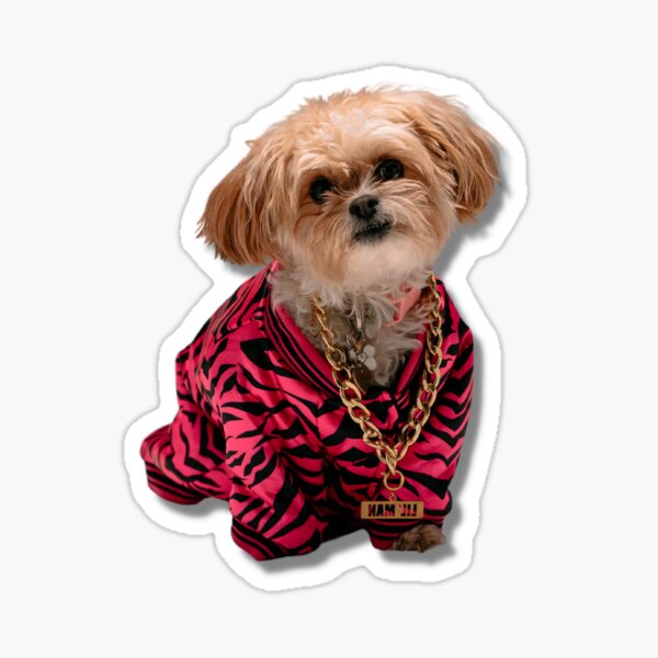 "Gangster Dog" Sticker for Sale by MerchGiants | Redbubble