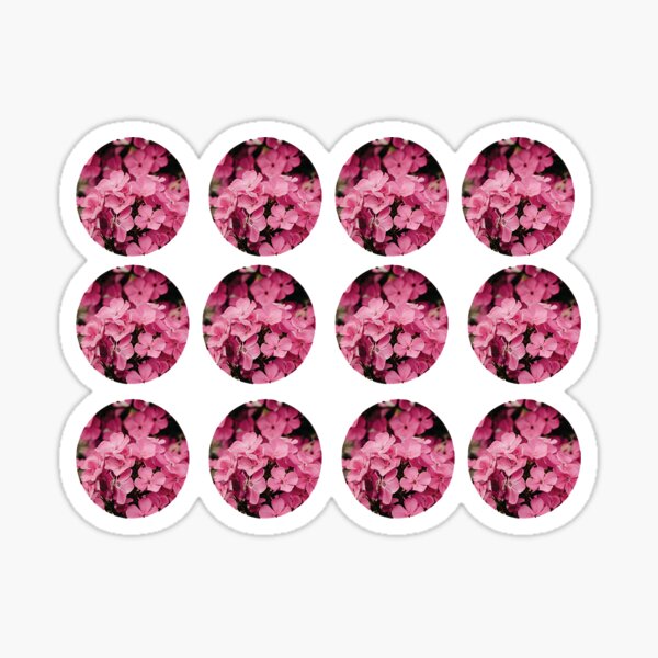 "rose circles" Sticker for Sale by Elshazly200 | Redbubble