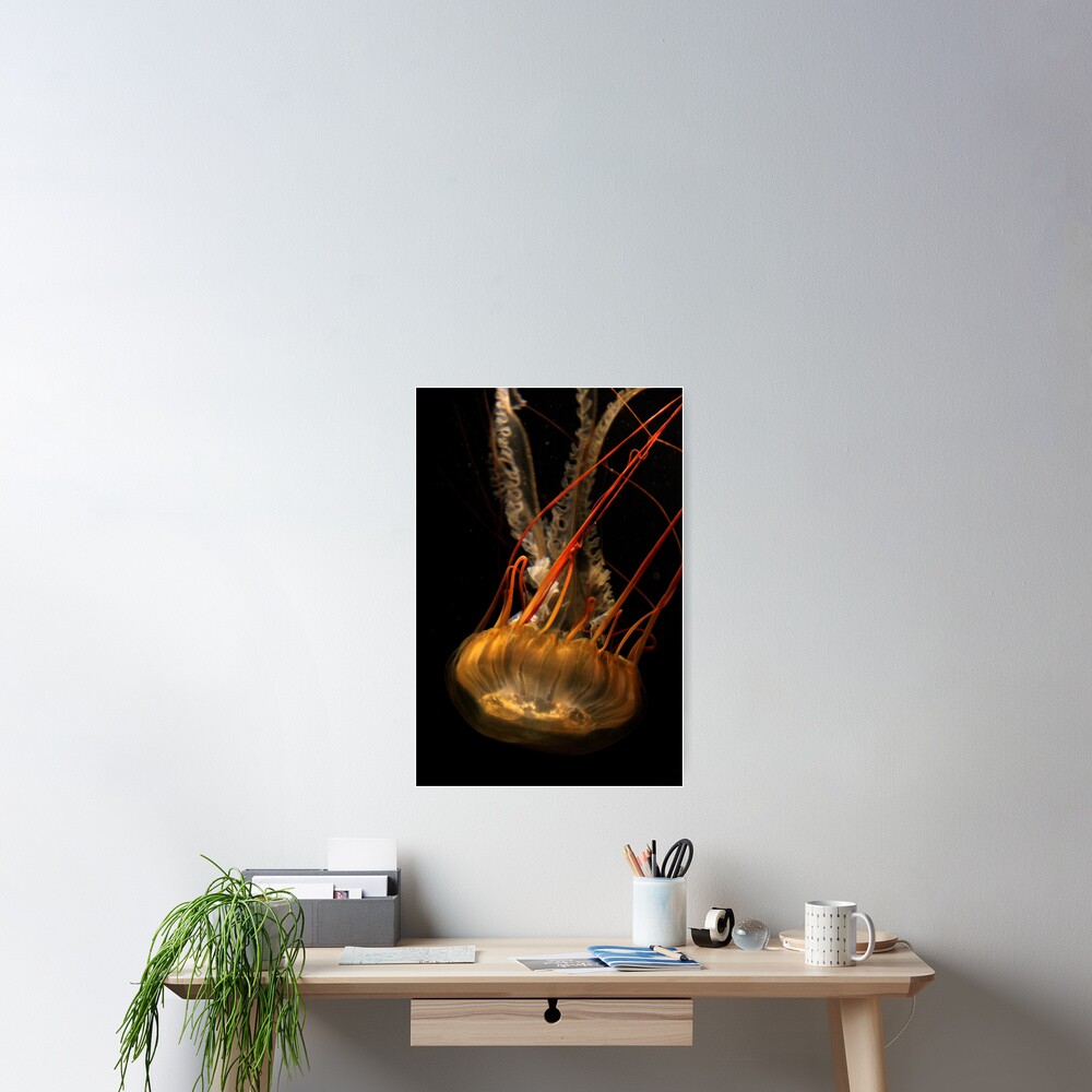 "Jelly" Poster by cait-j | Redbubble
