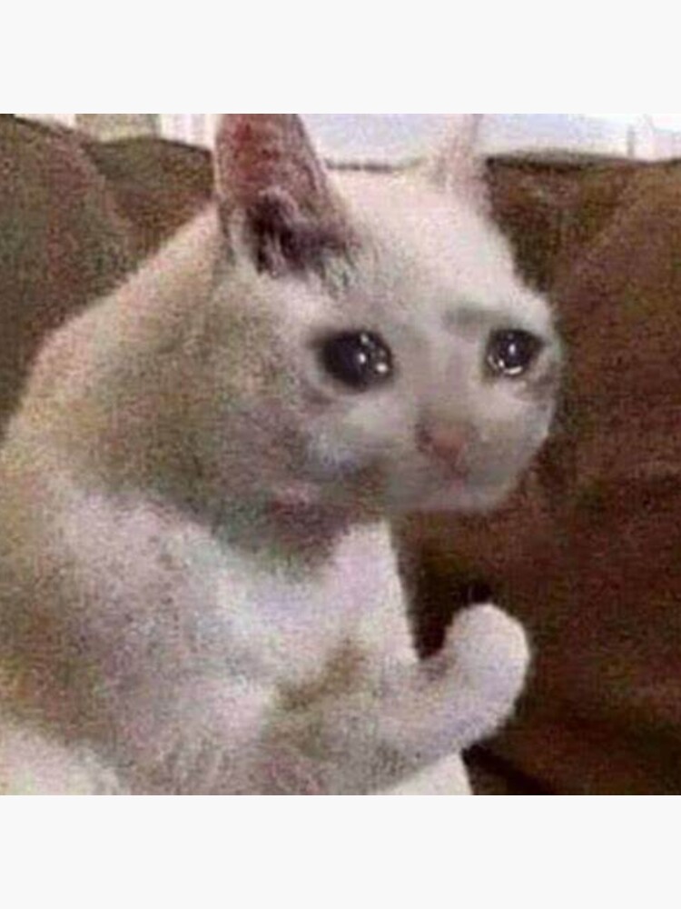 "crying cat meme" Sticker for Sale by eliasrossi | Redbubble