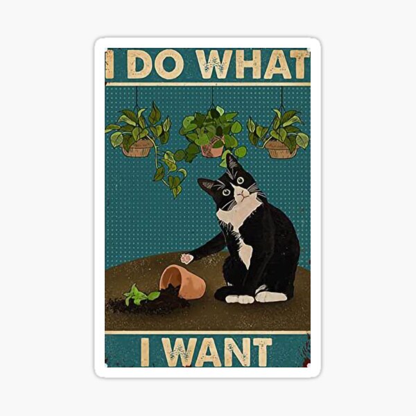 "I Do What I Want Black and White Cat Vintage Quote for cat lover ...