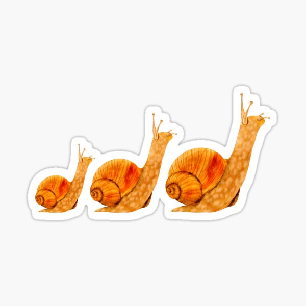 "CUTE SNAIL STUFF - SNAILS VINTAGE - SNAILS RETRO" Sticker for Sale by ...