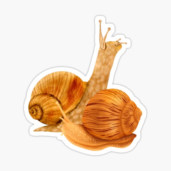 "SNAILS VINTAGE SNAIL RETRO SNAILS CUTE SNAIL STUFF!" Sticker for Sale ...