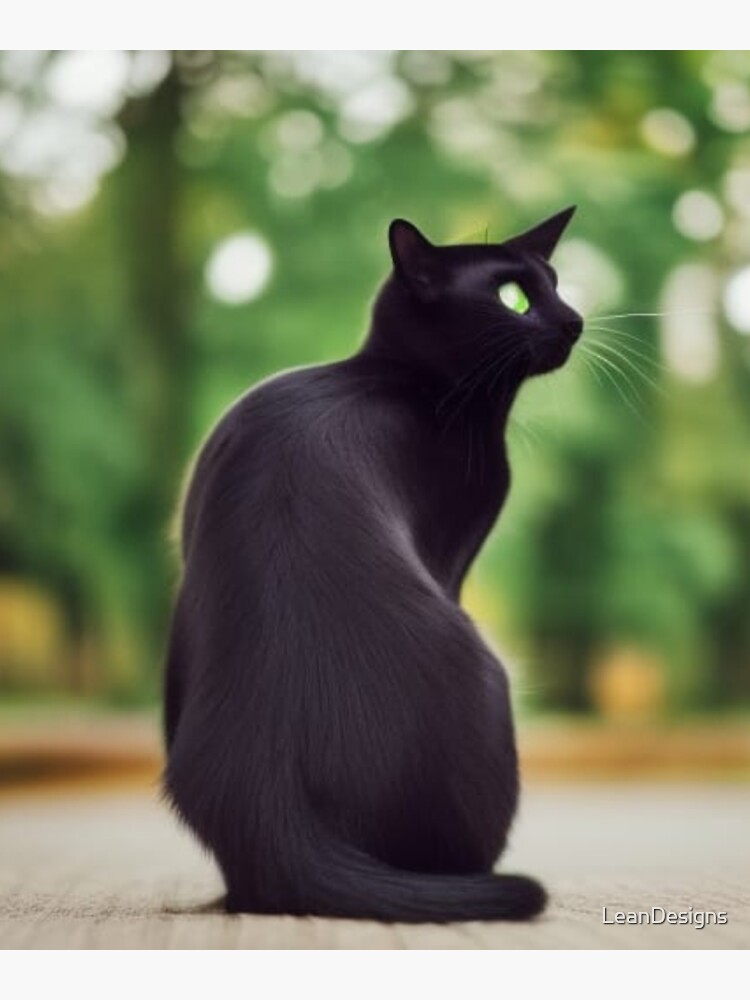 "Smooth Cat. Black Cat with Green Eyes" Sticker for Sale by LeanDesigns ...