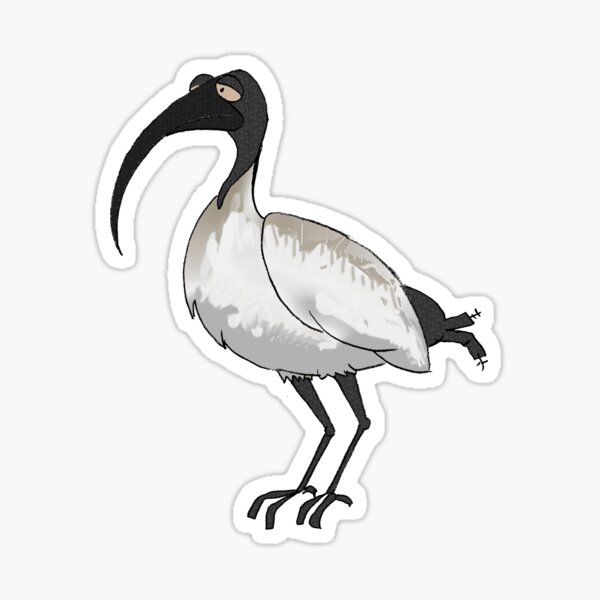 "Sacred Ibis" Sticker for Sale by TimmyGumnut | Redbubble