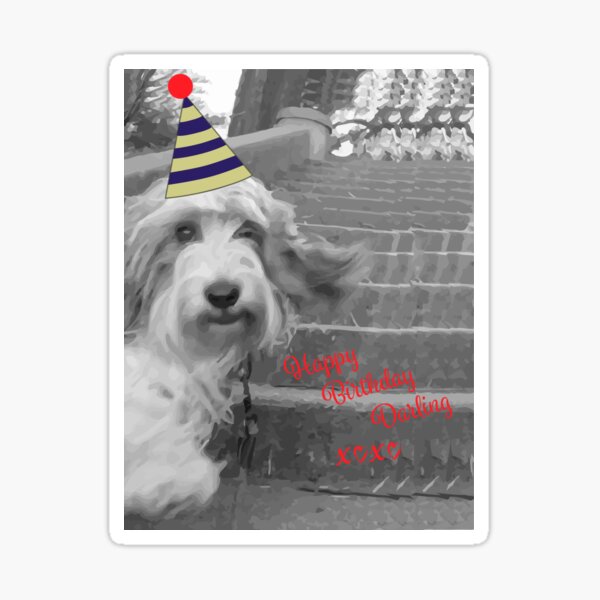 Pbgv Merch & Gifts for Sale | Redbubble