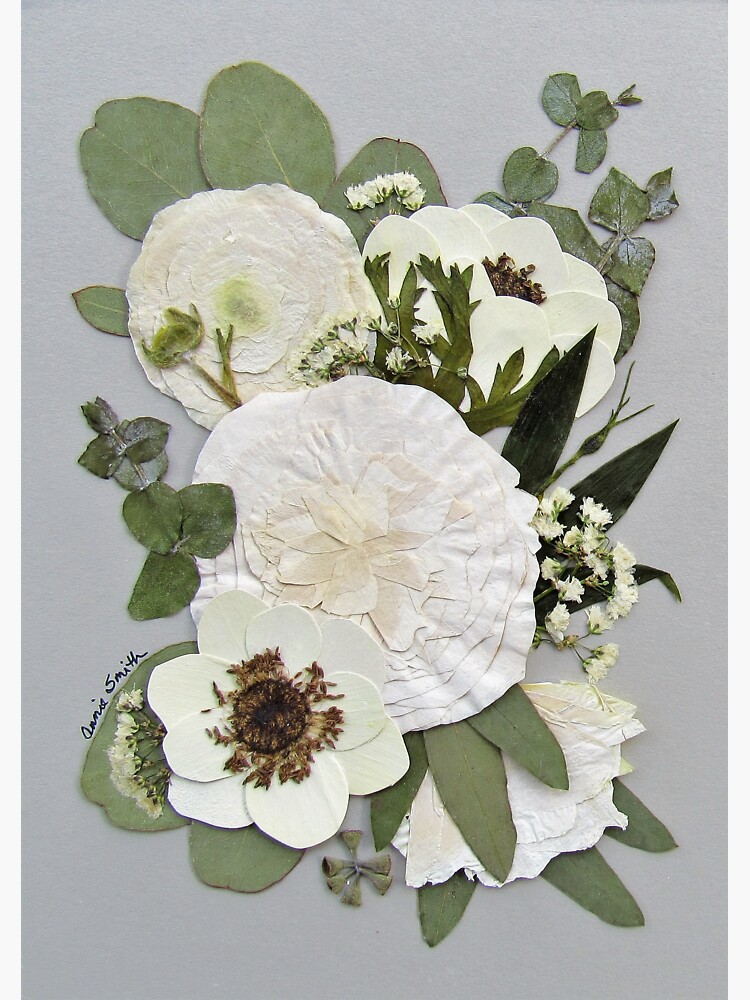 "Lexi - 2022 - Pressed Flower Art 5x7 B" Sticker for Sale by ...