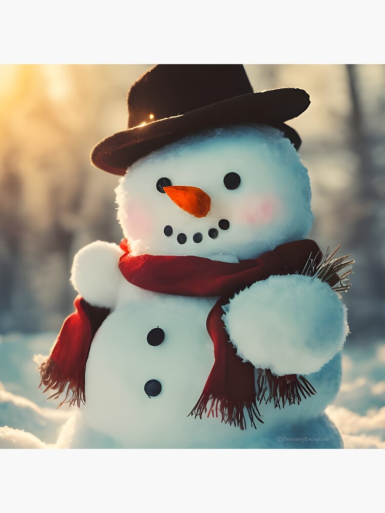 "Cute Snowman who also happens to be very Cool" Sticker for Sale by ...